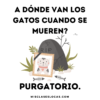 April Fool's Day in Spanish Class - Mis Clases Locas